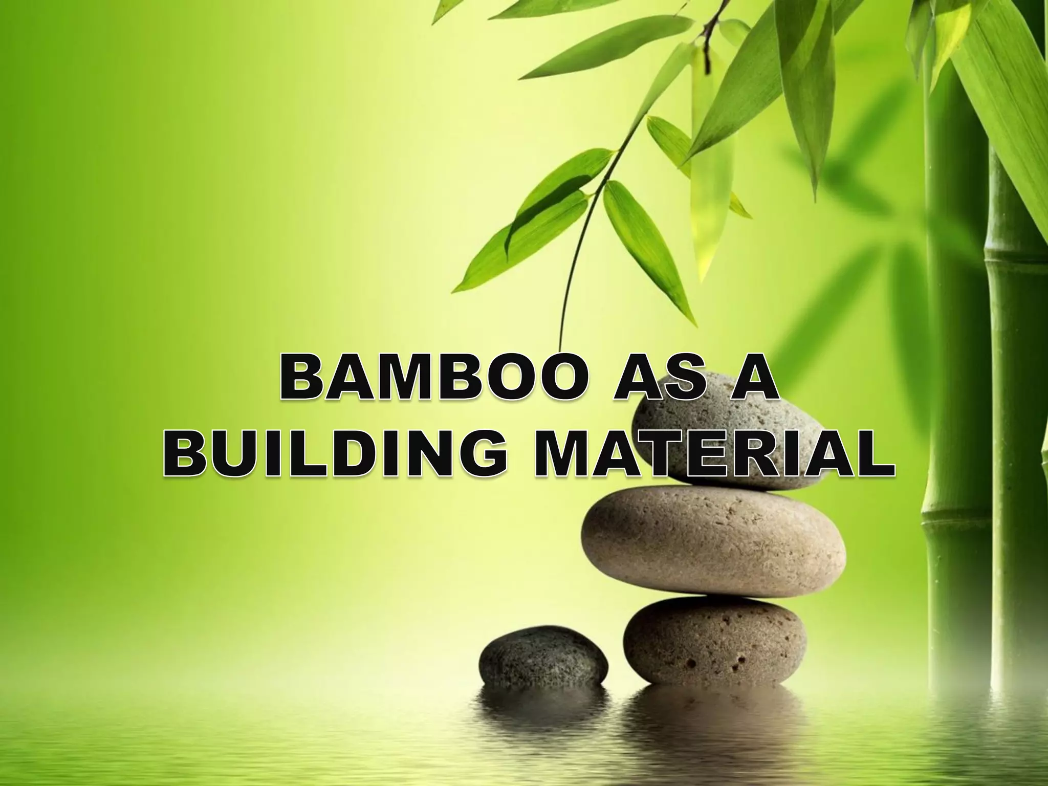 Bamboo | PDF