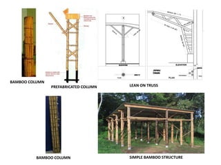Bamboo | PDF