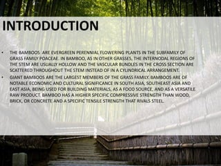 Bamboo | PDF