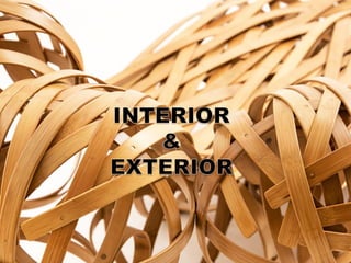 Bamboo | PDF