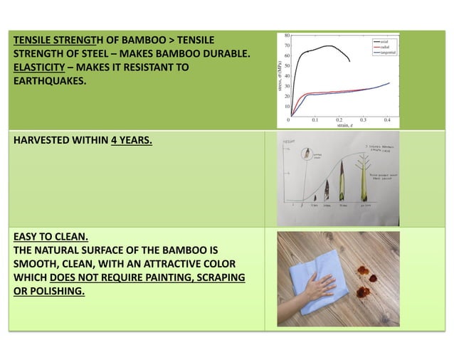 Bamboo | PDF | Woodworking | Arts and Crafts