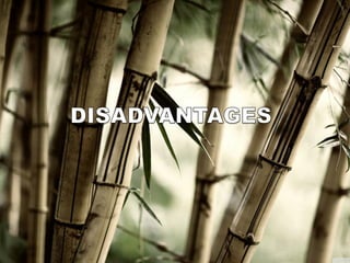 Bamboo | PDF