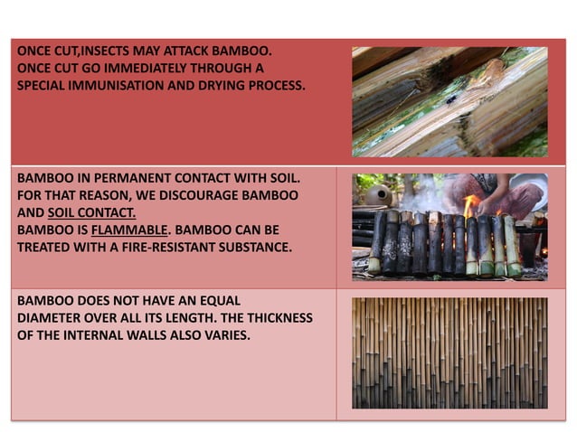 Bamboo | PDF | Woodworking | Arts and Crafts