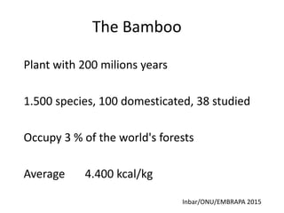 Bamboo for Biomass Brazil | PPTX
