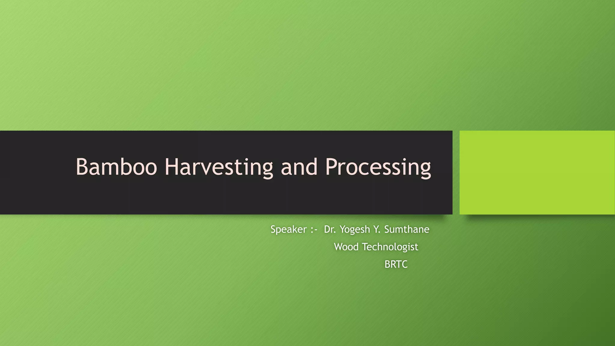 Bamboo Harvesting and Processing | PPTX