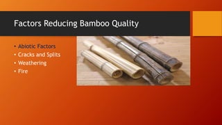 Bamboo Harvesting and Processing | PPTX