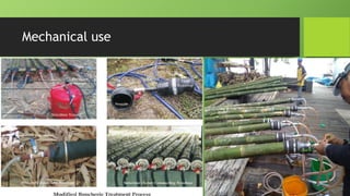 Bamboo Harvesting and Processing | PPTX