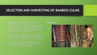 Bamboo Harvesting and Processing | PPTX