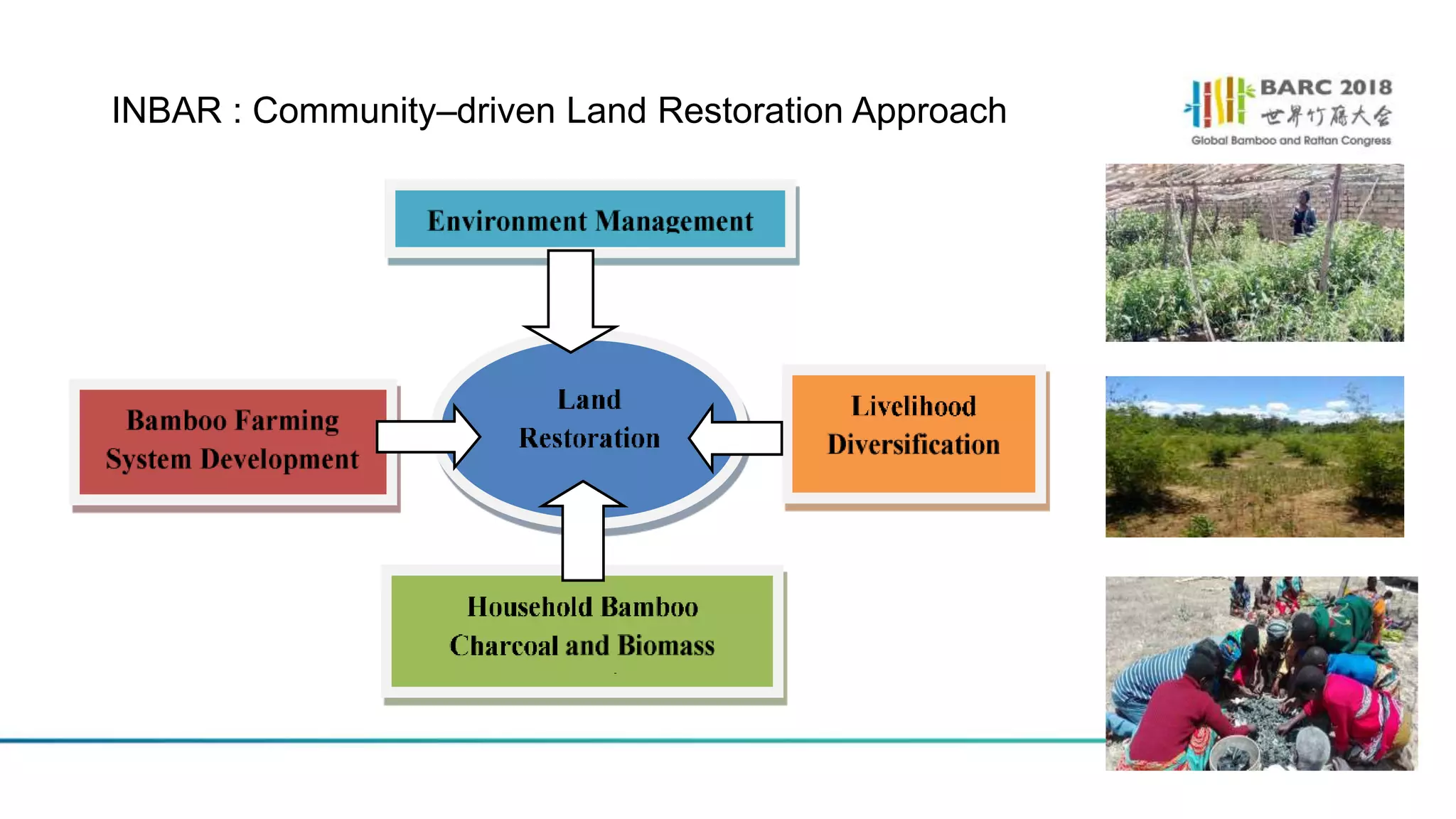 Bamboo Land Restoration Tanzania Case | PPTX