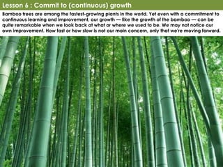 Bamboo Lessons | PPT