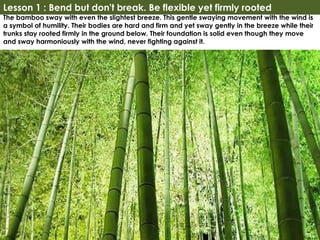 Bamboo Lessons | PPT