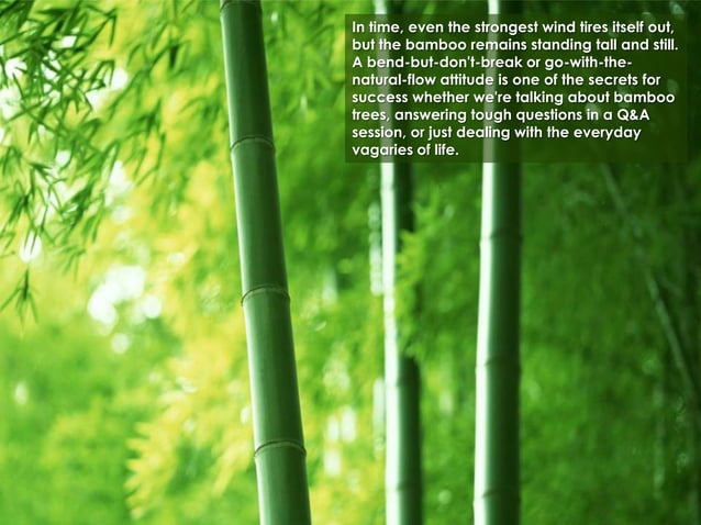 Bamboo Lessons | PPT