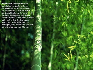 Bamboo Lessons | PPT