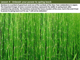 Bamboo Lessons | PPSX
