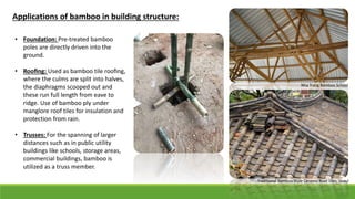 Material properties and sustainability : Bamboo | PDF