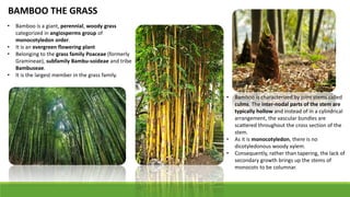 Material properties and sustainability : Bamboo | PDF
