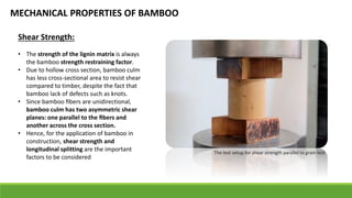 Material properties and sustainability : Bamboo | PDF