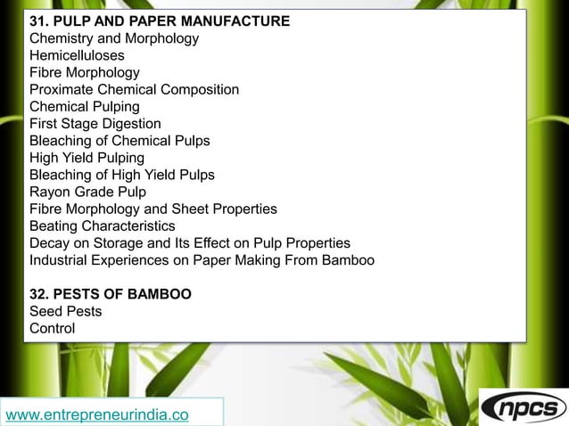 Bamboo Plantation and Products, a Profitable Business | PPTX ...