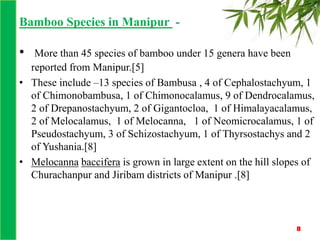 Bamboo diversity in north east India | PPTX