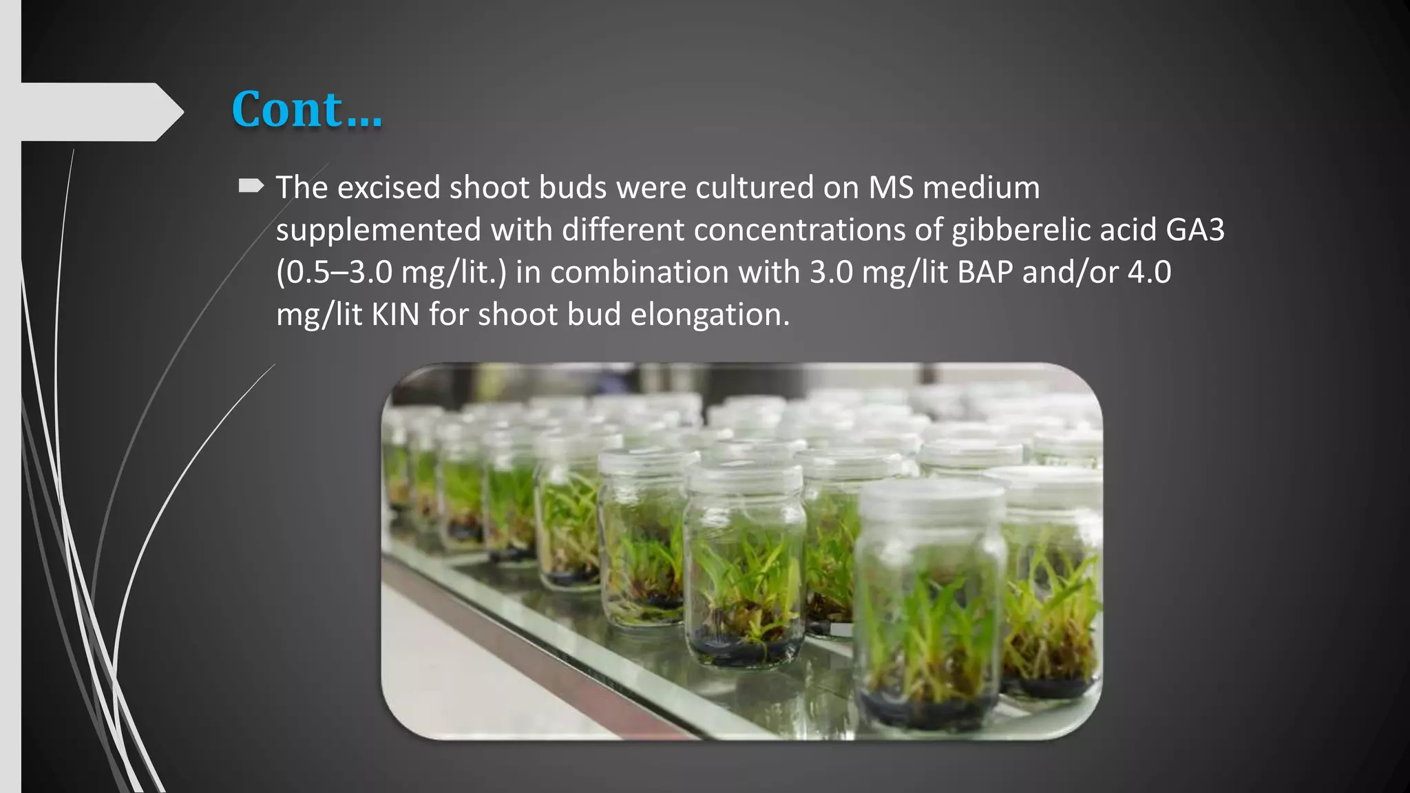 In vitro propagation in Bamboo(micropropagation) (plant tissue Culture ...
