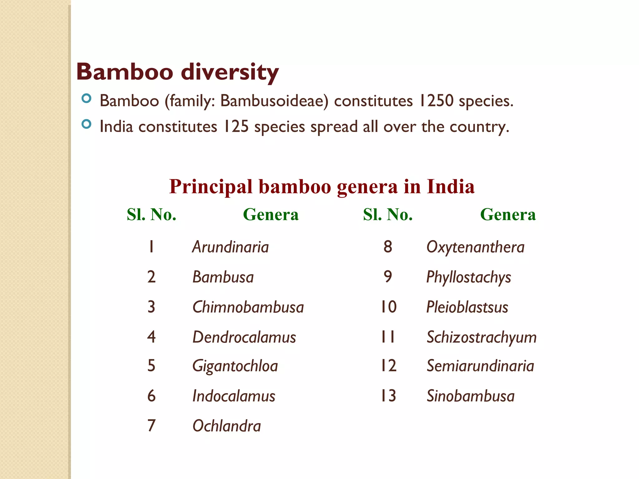 Bamboo & its uses | PPT