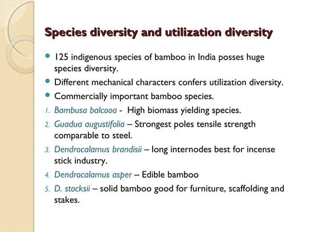 Bamboo & its uses | PPT