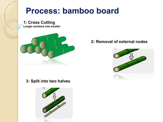 Bamboo & its uses | PPT