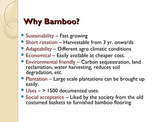 Bamboo & its uses | PPT