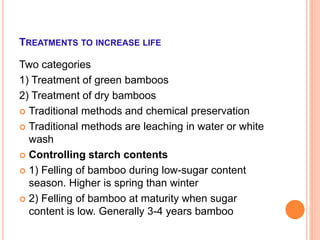 Bamboo preservation techniques | PPTX