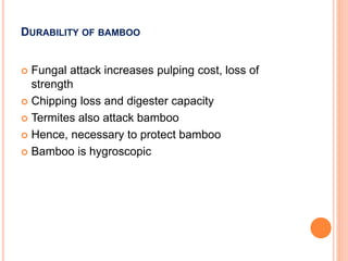 Bamboo preservation techniques | PPTX