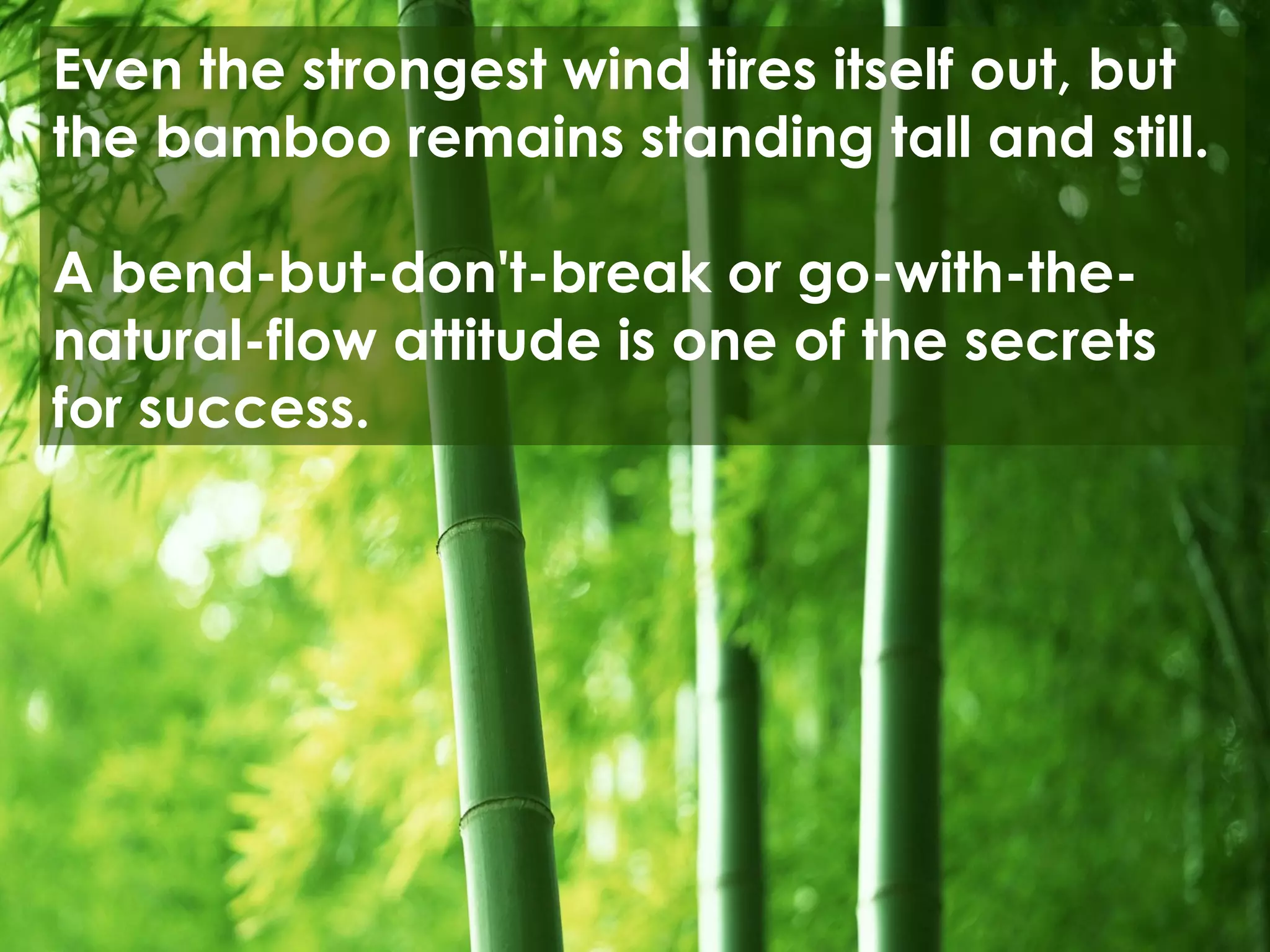 Bamboo principle aim thinkwell | PPS