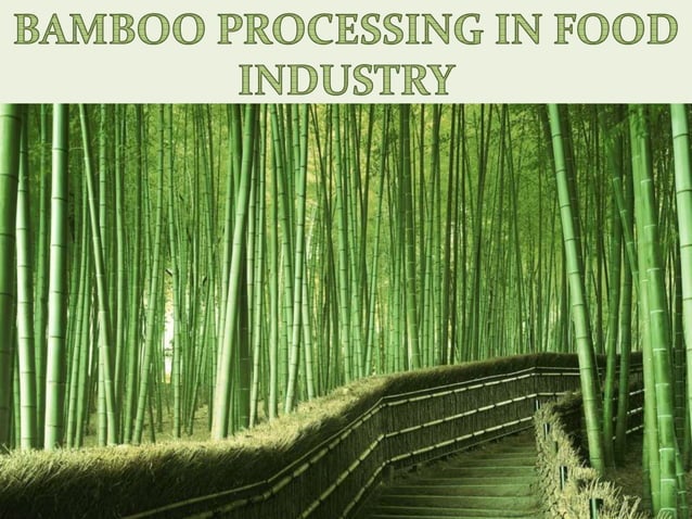 Bamboo processing in food industry | PPTX | Gardening | Home & Garden