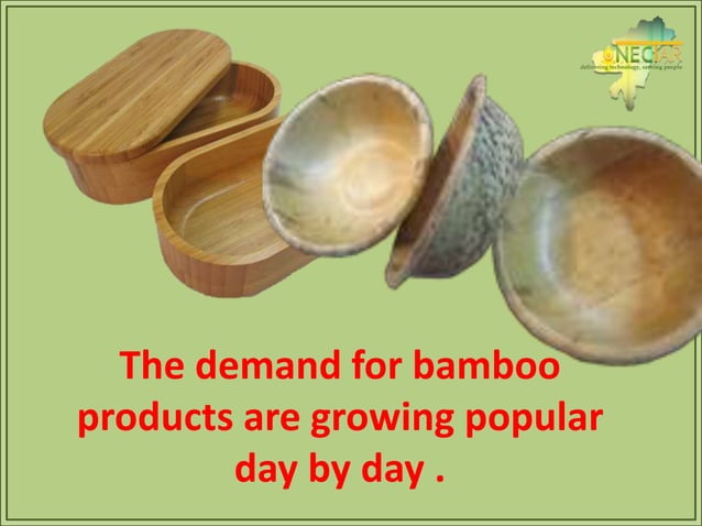 Bamboo products - Nectar | PPTX