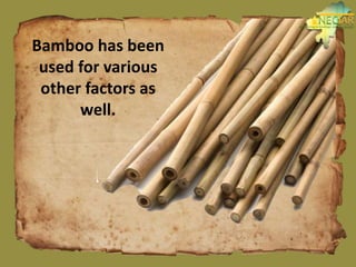 Bamboo Products - Nectar.org.in
