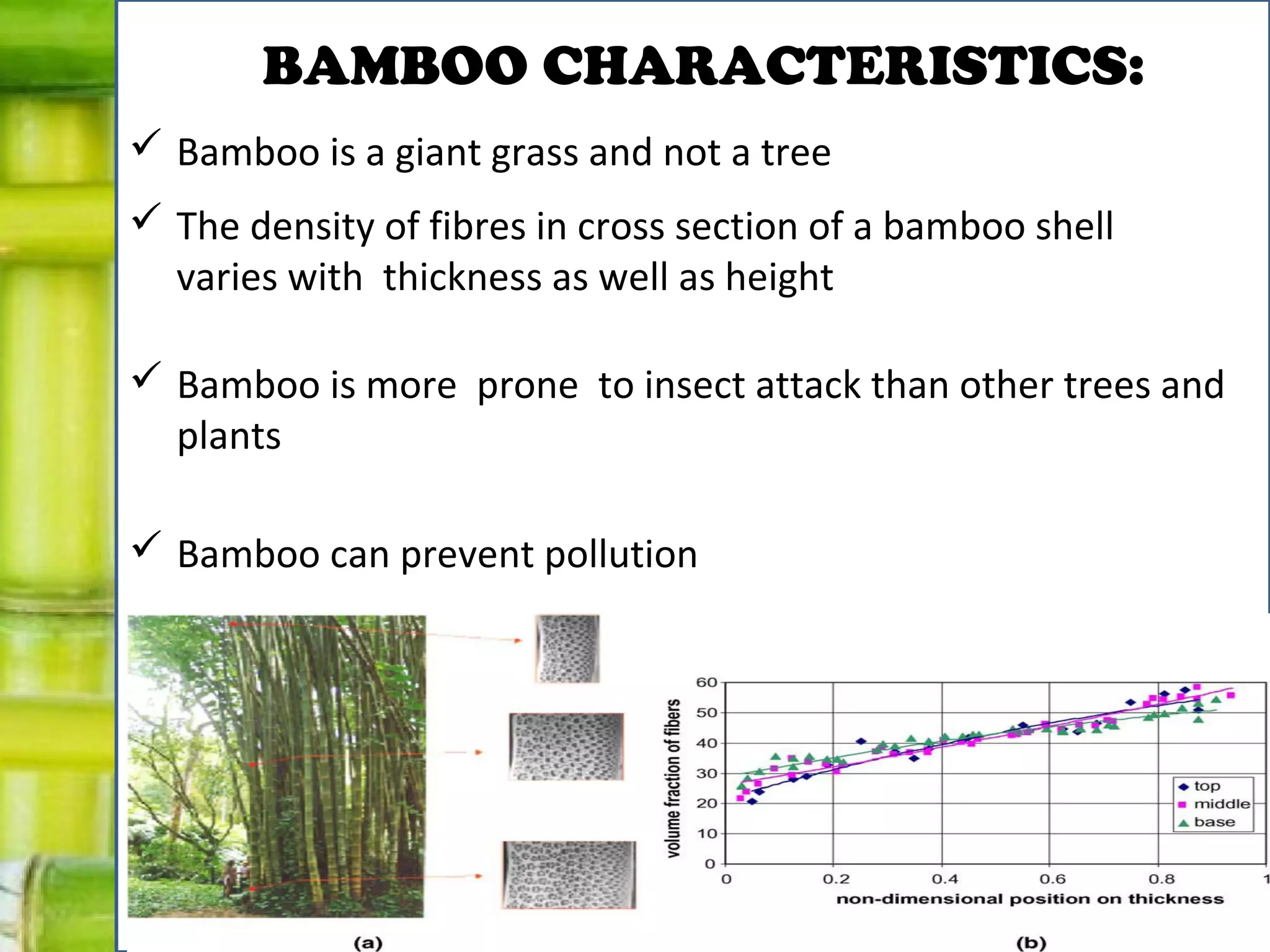 Bamboo reinforced concrete | PPT