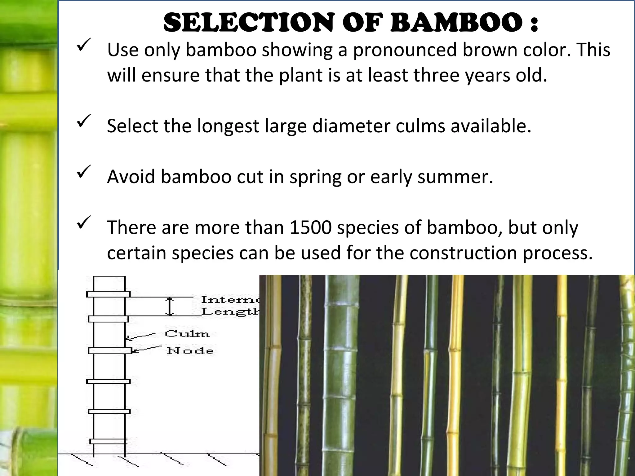 Bamboo reinforced concrete | PPT