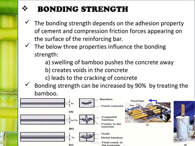 Bamboo reinforced concrete | PPT