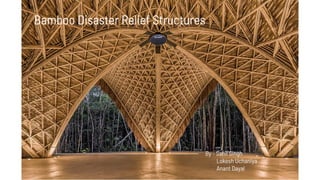 Bamboo relief structure pdf | PPT