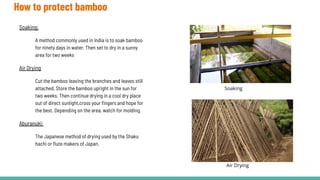 Bamboo relief structure pdf | PDF