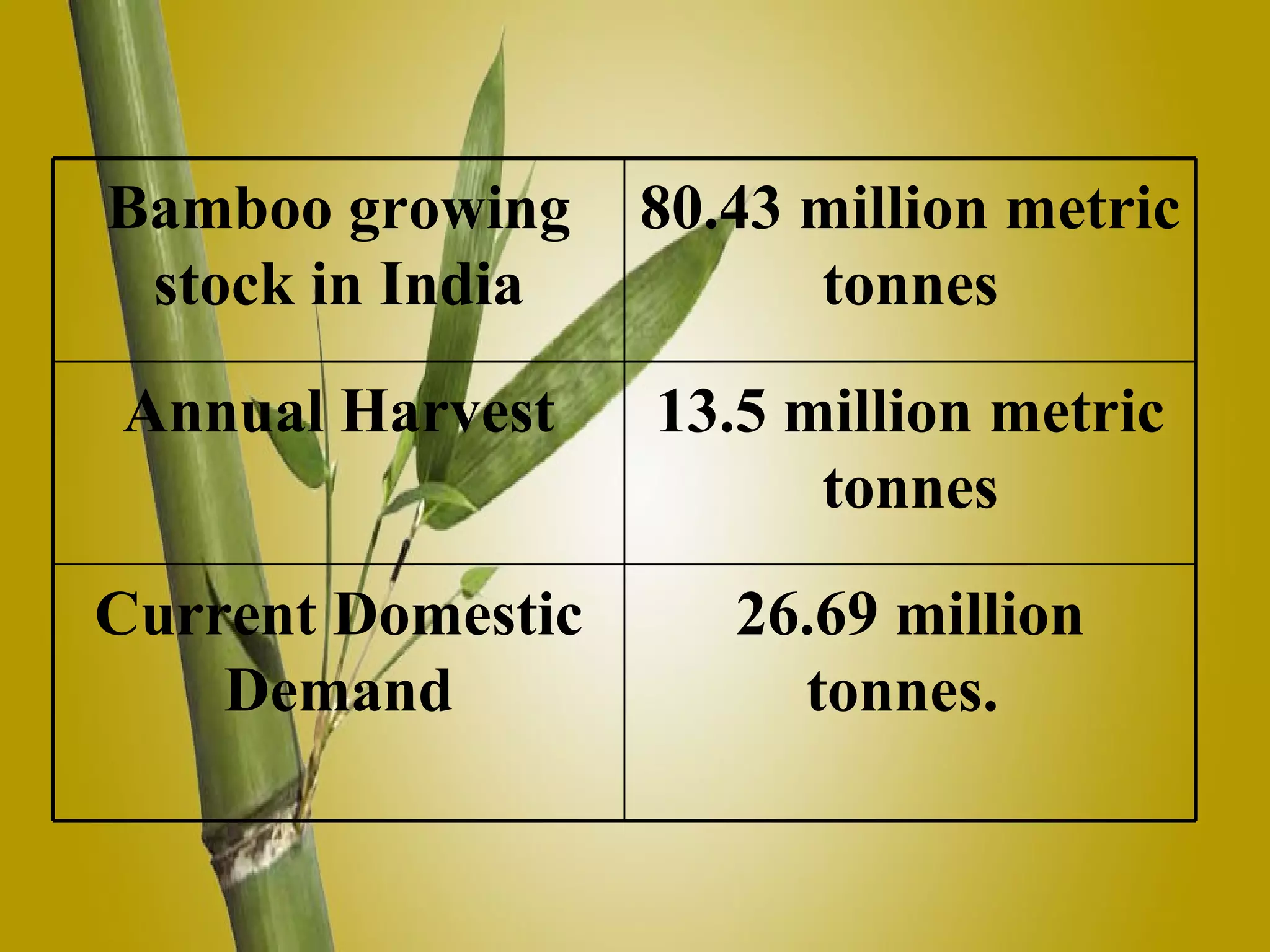 Bamboo Resouce In India | PPT