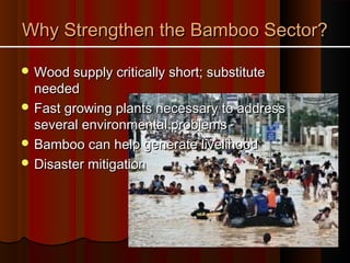 Bamboo roadmap | PPT