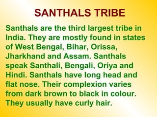 CLASS V ENGLISH SANTHALS TRIBE AND BAMBOO DISH | PPT