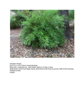 Bamboo for the Santa Cruz Mountains, Part 2 | DOCX