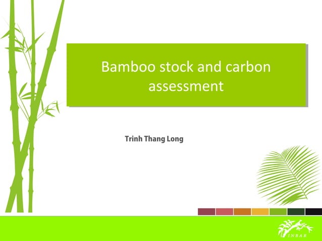 Bamboo stock assessment | PPT
