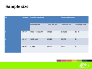 Bamboo stock assessment | PPT