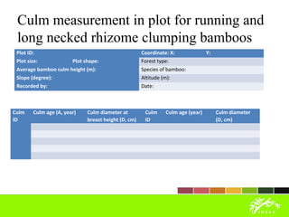 Bamboo stock assessment field measurment | PPT