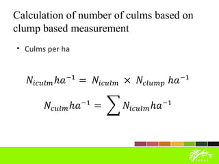 Bamboo stock assessment report | PPT