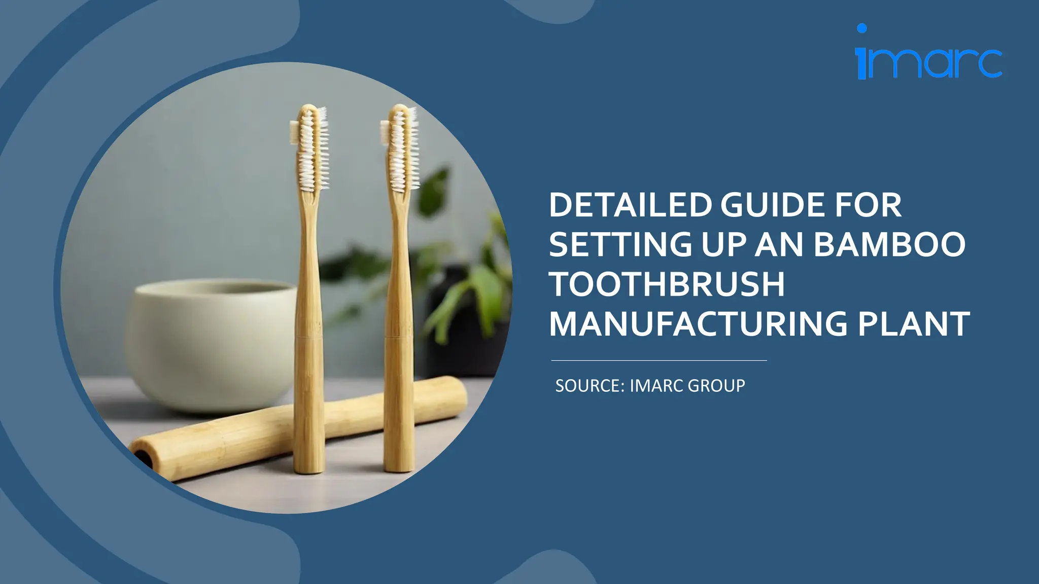 Bamboo Toothbrush Manufacturing Project Report 2024 Edition | PDF