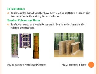 Bamboo as a building material | PPTX