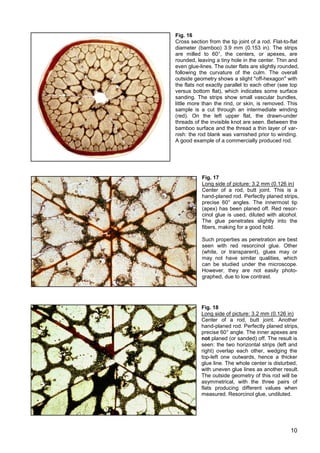 Bamboo under the_microscope | PDF